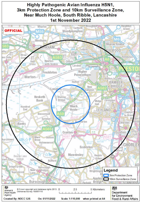 Avian Influenza case finder - current and lifted cases near you – NFU Cymru