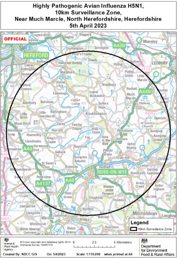 Avian Influenza case finder - current and lifted cases near you – NFU Cymru