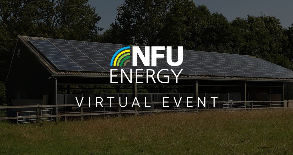 NFU Cymru launches new strategy for sustainable tree planting in Wales ...